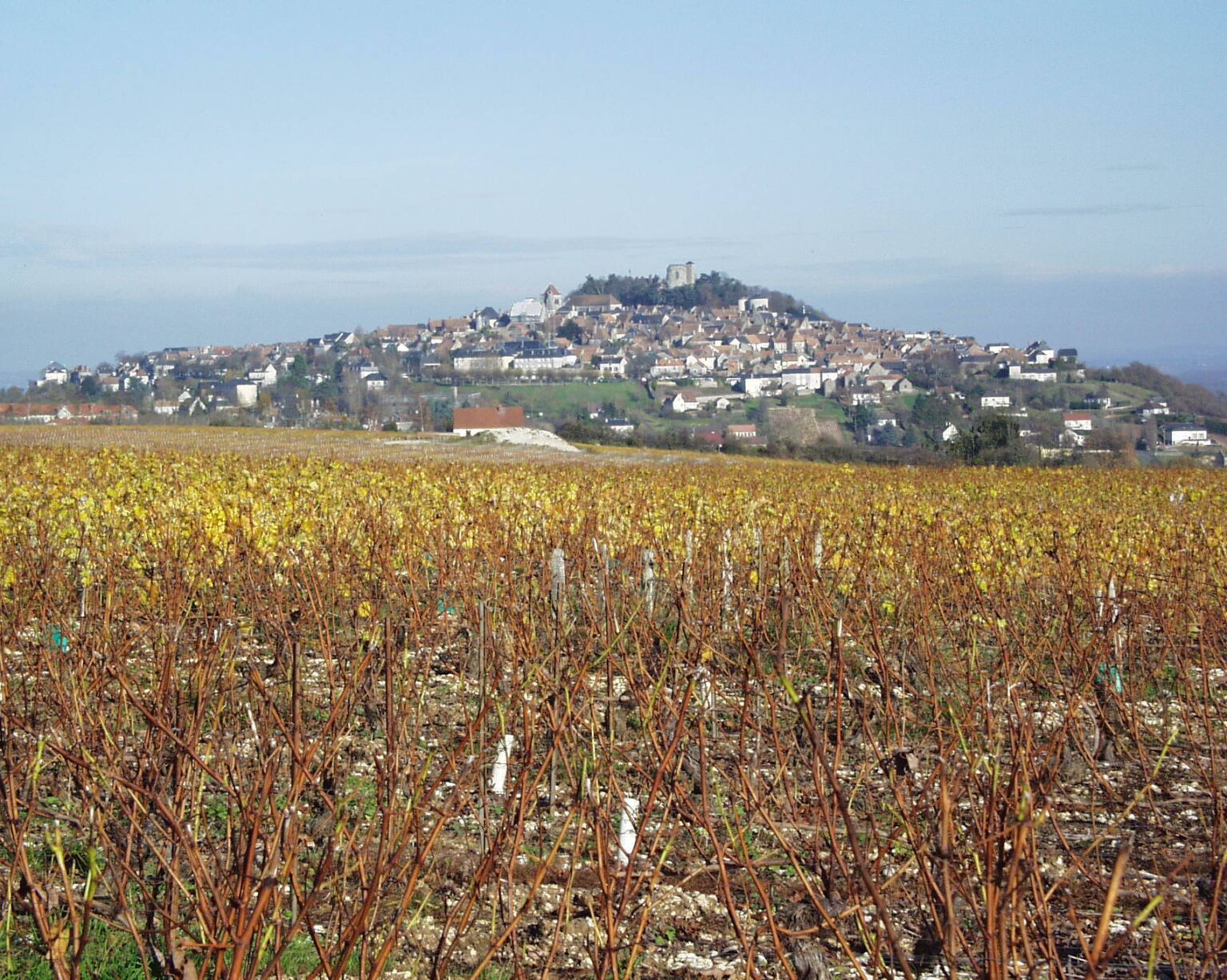 Domaine François Millet（ドメーヌ・フランソワ・ミレー） フランス / ロワール・サンセール